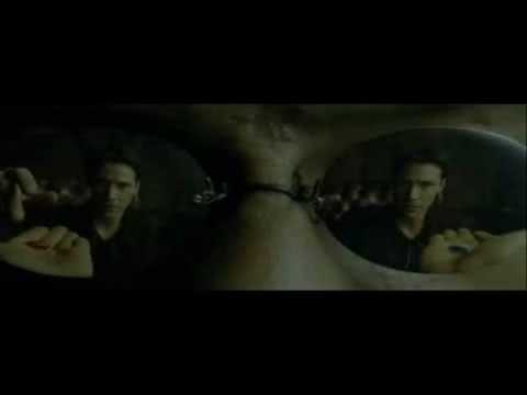 Matrix: the pill choice –[Multimedia-English videos]