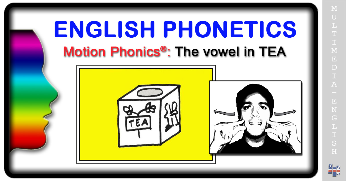 Phonetics: The vowel in TEA –[Multimedia-English]